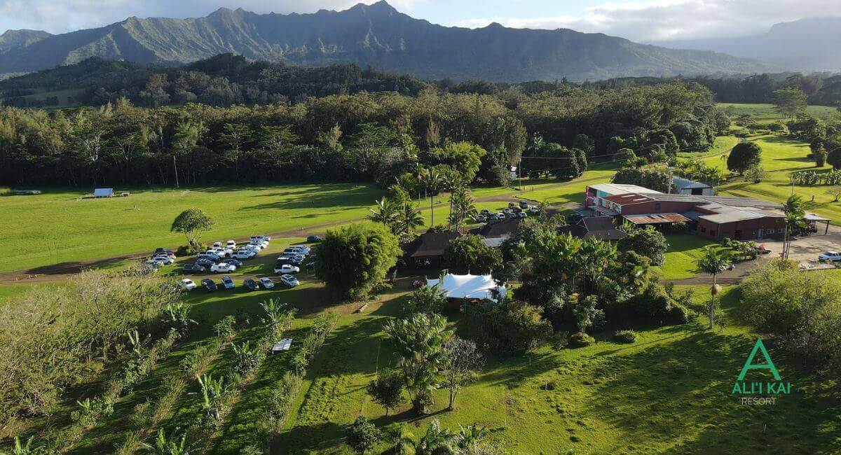 Common Ground Kauai Attraction Reopens - Ali'ikai Resort